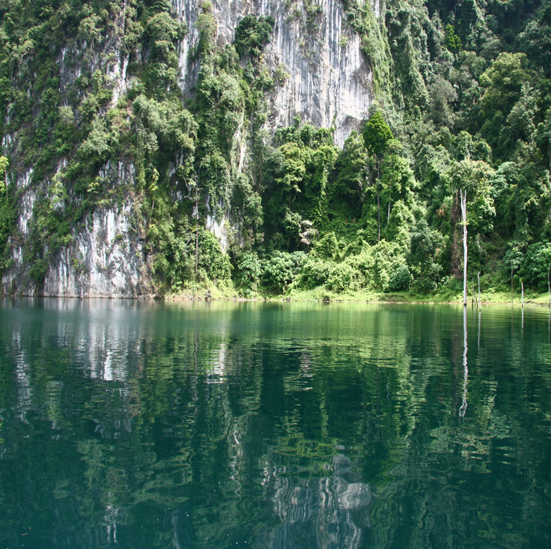 Welcome To Showtime Pictures | Showtime Pictures