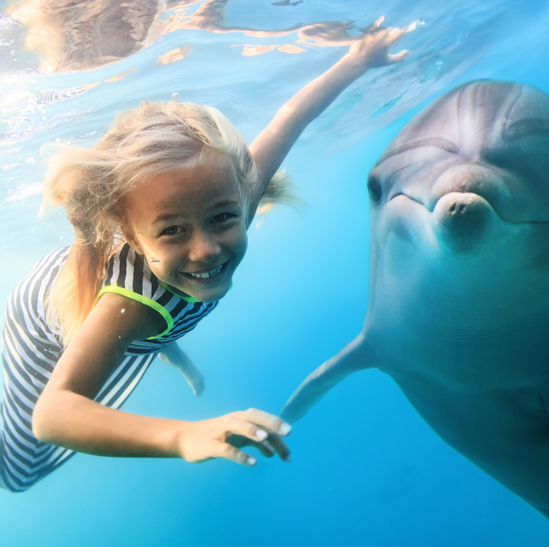 Welcome To Showtime Pictures | Showtime Pictures